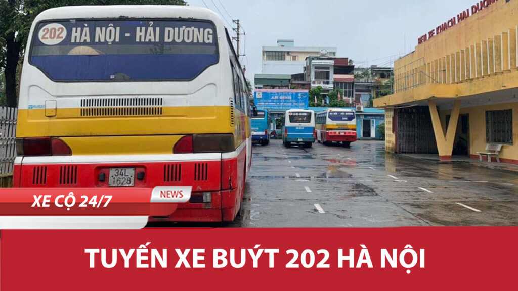 Tuyến xe buýt số 206 Hà Nội – Thông tin chi tiết về lộ trình và giờ ...