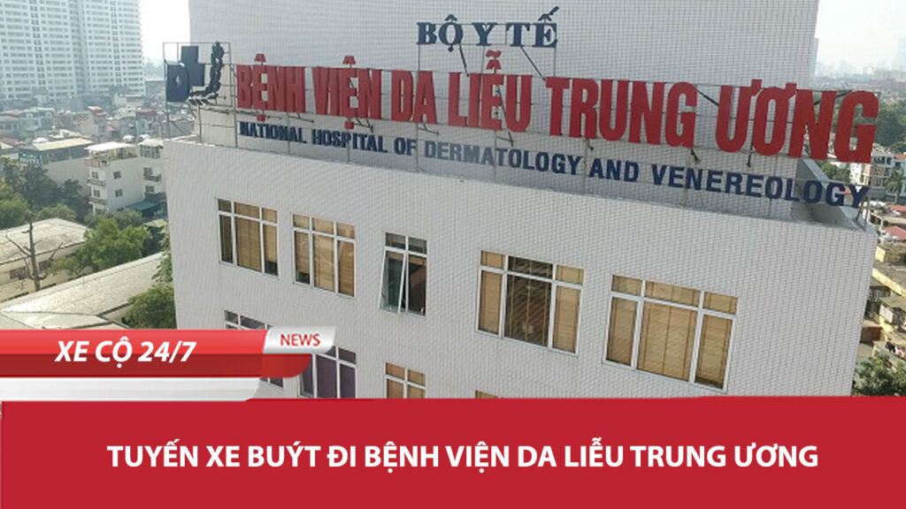Tuyến xe buýt số 206 Hà Nội – Thông tin chi tiết về lộ trình và giờ ...