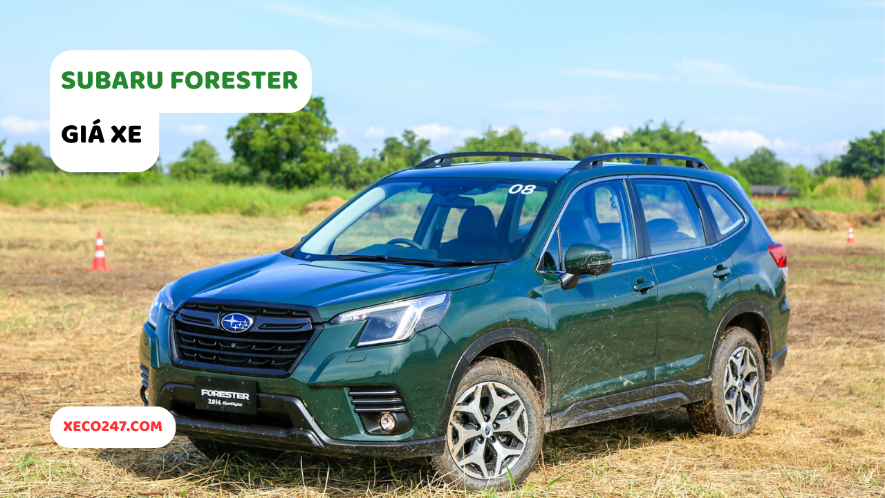 Giá xe Subaru Forester hôm nay 12/05/2026